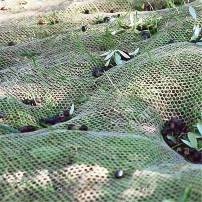 China HDPE Olive Harvest Net 60-100gsm 1-12m Width Durable 3-5 Years for Fruit Collecting for sale