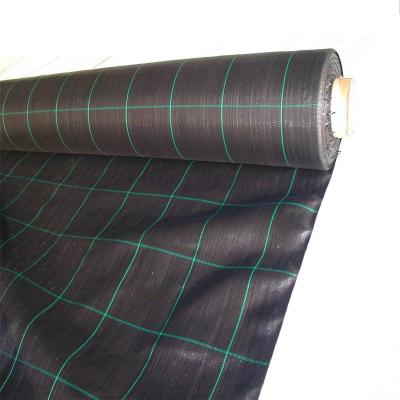 China Dark Weed Barrier Fabric Agricultural Black Plastic Ground Cover 1-6m Width 2-5 Year Life for sale