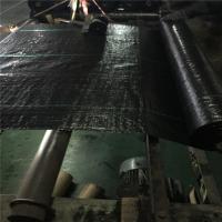 China UV Protection Landscape Fabric Weed Mat 100g Polypropylene Ground Cover 1.6m Wide for sale