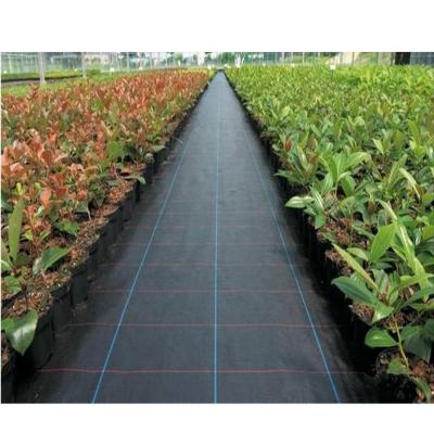 China Black PP Woven Weed Barrier Fabric 70g-140g 0.4m-6m Width UV Resistant Ground Cover for sale