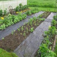 China PP PE UV 3% Anti Weed Fabric Ground Cover 80g-150g 1m-6m Width 10m-400m Length for sale