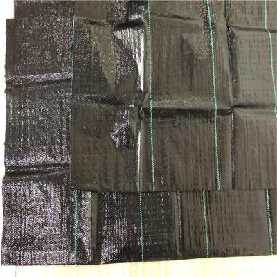 China Polypropylene Weed Mat Ground Cover 90-200gsm UV Resistant 6m Width for sale
