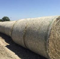 China HDPE Bale Wrap Net White Color 1.22m Width 11grm Weight for Hay Silage for sale