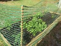China Green Temporary Barrier Fencing Mesh for sale