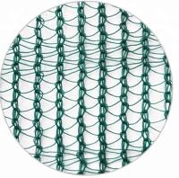 China Plastic Scaffold Safety Net 1.83m x 5.1m 660g to 1070g PE Construction Netting for sale