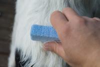 China Car care Pet Hair Removal Stone for sale