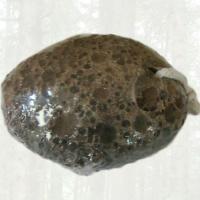 China Egg shaped volcano pumice stone ,pumice stone for sale