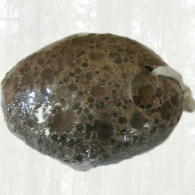 China Egg shaped volcano pumice stone ,pumice stone for sale