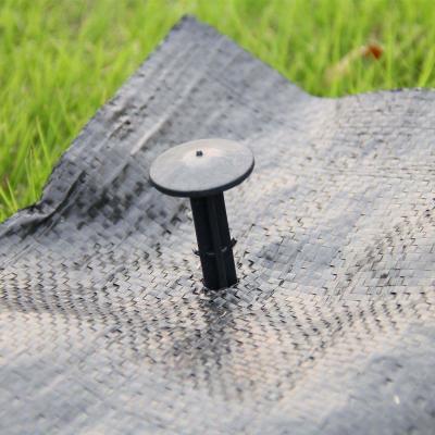 China PP PE UV 3% Weed Barrier Landscape Fabric 80g-150g 1m-6m Wide Roll for sale