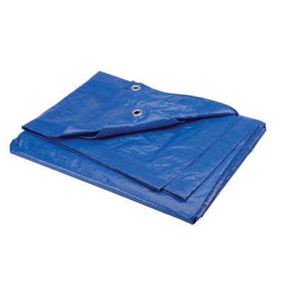 China Custom PVC PE Tarpaulin Roll 500gsm Waterproof Truck Car Roof Cover for sale