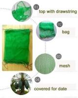 China green palm mesh bag,date plam net bag,date plam bag export to middle east for sale