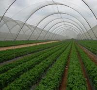 China HDPE Agricultural Shade Net 30-90% Sun Block for Garden Greenhouse Protection for sale