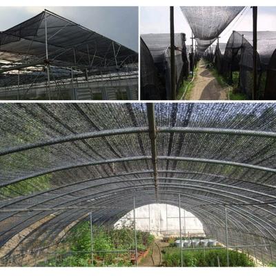 China HDPE UV Protected Sun Shade Net 30-95 Shade Rate 12m Width for Agricultural Carport for sale
