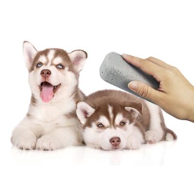China Pet Hair Remover Stone Brush Roller for Dogs Cats Horses 2-in-1 Cleaning Tool for sale