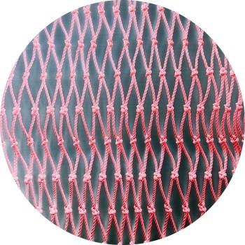 China HDPE PE Fishing Net 100m Length 2m Depth High Strength Durable for sale
