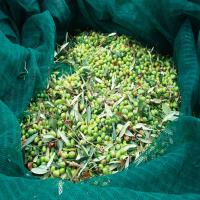 China Olive Nets, Olive Harvest Nets for Sale for sale