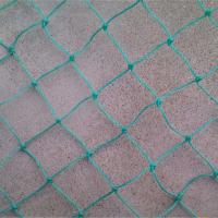 China HDPE Olive Catching Net 85-100g/m2 UV Protected Harvest Net for Organic Farming for sale