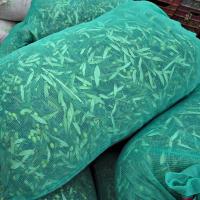 China HDPE Olive Picking Net 85-100gsm UV Protected Harvest Net 3x6m to 6x12m for sale