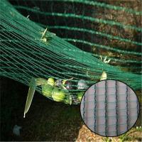 China HDPE Olive Picking Net 85-100gsm UV Protected Harvest Net 3x6m to 6x12m for sale