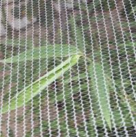 China HDPE Anti Hail Net for Agriculture UV Treated 53gsm White 2m to 6m Width for sale