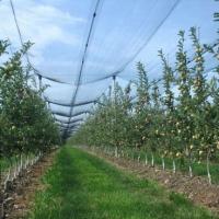 China HDPE Anti Hail Net 40-100gsm UV Stabilized Warp Knitted for Agriculture for sale