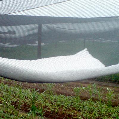 China Polyester mesh fabric white plastic anti hail net for greenhouse 5m width for sale