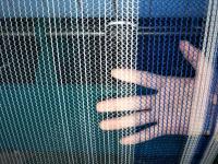 China HDPE PE Anti Hail Net UV Treated 53gsm for Agriculture Protection for sale