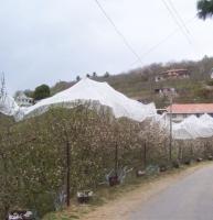 China HDPE PE Anti Hail Net UV Treated 53gsm for Agriculture Protection for sale