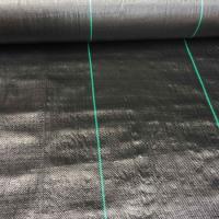 China PP PE UV 3% Agricultural Plastic Woven Mulch Weedmat 80g-150g 1m-6m Width for sale