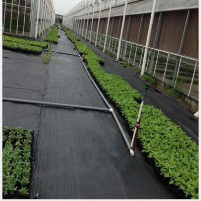 China PP PE UV 3% Agricultural Plastic Woven Mulch Weedmat 80g-150g 1m-6m Width for sale