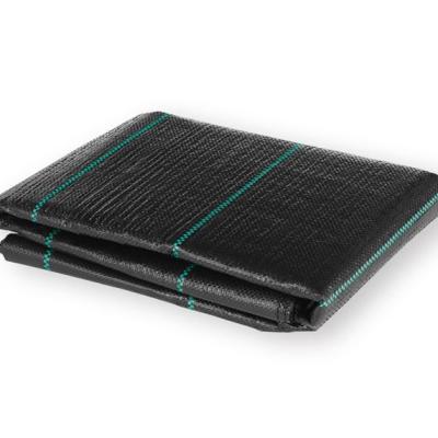 China 100% Virgin PP Woven Garden Weed Mat 90-160g UV Stabilized Weed Barrier Fabric for sale