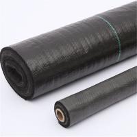 China Heavy Duty PP Landscape Fabric Weed Barrier 100g 1m x 50m Ground Cover for sale