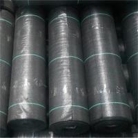 China Heavy Duty PP Landscape Fabric Weed Barrier 100g 1m x 50m Ground Cover for sale