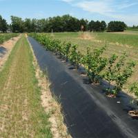 China Weed Barrier Fabrics,weed control mat, weed control fabric for sale
