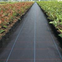 China China Agriculture Control Black PP Woven Weed Barrier Mat for sale
