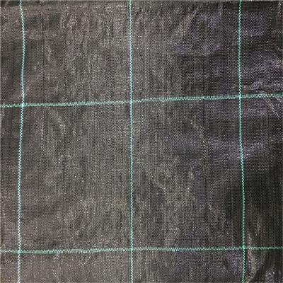 China PP PE UV 3% Weed Barrier Fabric 3ft x 150ft Heavy Duty Garden Landscape Weed Block for sale