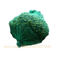 China Green harvest pe Date Palm Mesh Bag for protection for sale