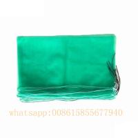China HDPE Date Palm Mesh Bag 80x100cm 52g UV Protected Anti-Bird Fruit Tree Cover for sale