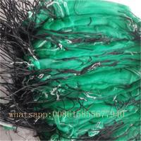 China HDPE Date Palm Mesh Bag 80x100cm 52g UV Protected Anti-Bird Fruit Tree Cover for sale