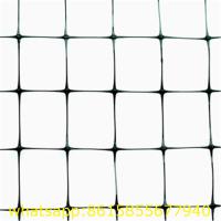 China Economy PP Anti Mole Net/Net Against Mole/Mole Net for sale