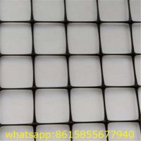 China Economy PP Anti Mole Net/Net Against Mole/Mole Net for sale