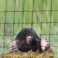 China Economy PP Anti Mole Net/Net Against Mole/Mole Net for sale