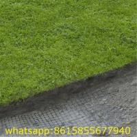 China Economy PP Anti Mole Net/Net Against Mole/Mole Net for sale