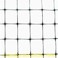 China HDPE Plastic Mesh/Plastic Netting BOP netting/BOP Stretched Net Mole Grid for sale