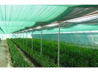 China Tape Shade Net, Tape Plant Shade Net for sale