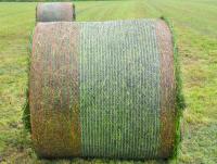 China 100% Virgin HDPE biodegradable bale wrap net farming used for sale