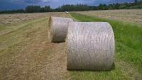 China farm land agriculture plastic mesh bale wrap net for sale