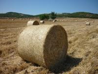 China farm land agriculture plastic mesh bale wrap net for sale
