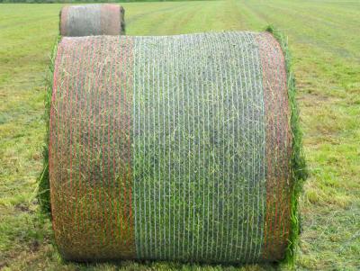 China farm land agriculture plastic mesh bale wrap net for sale