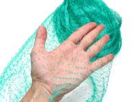 China Anti-bird Netting in Agriculture Using for sale